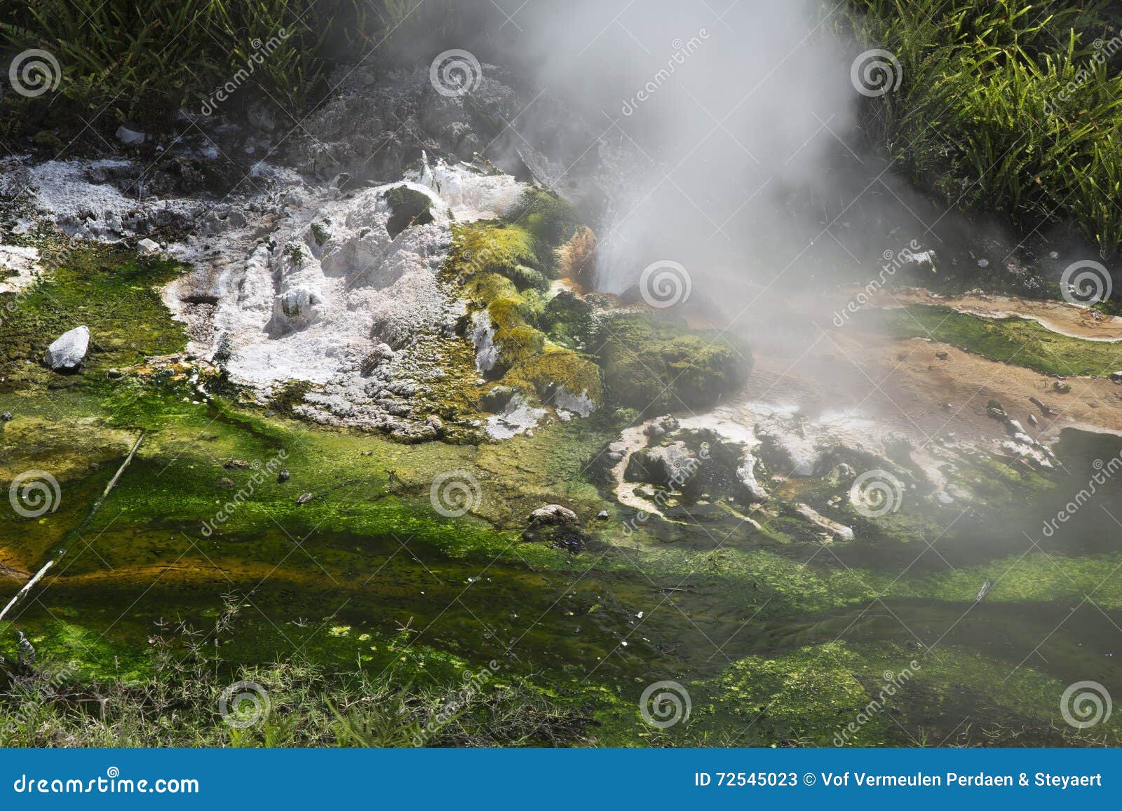 Small Geyser in the Waimangu River Stock Image - Image of mount, small ...