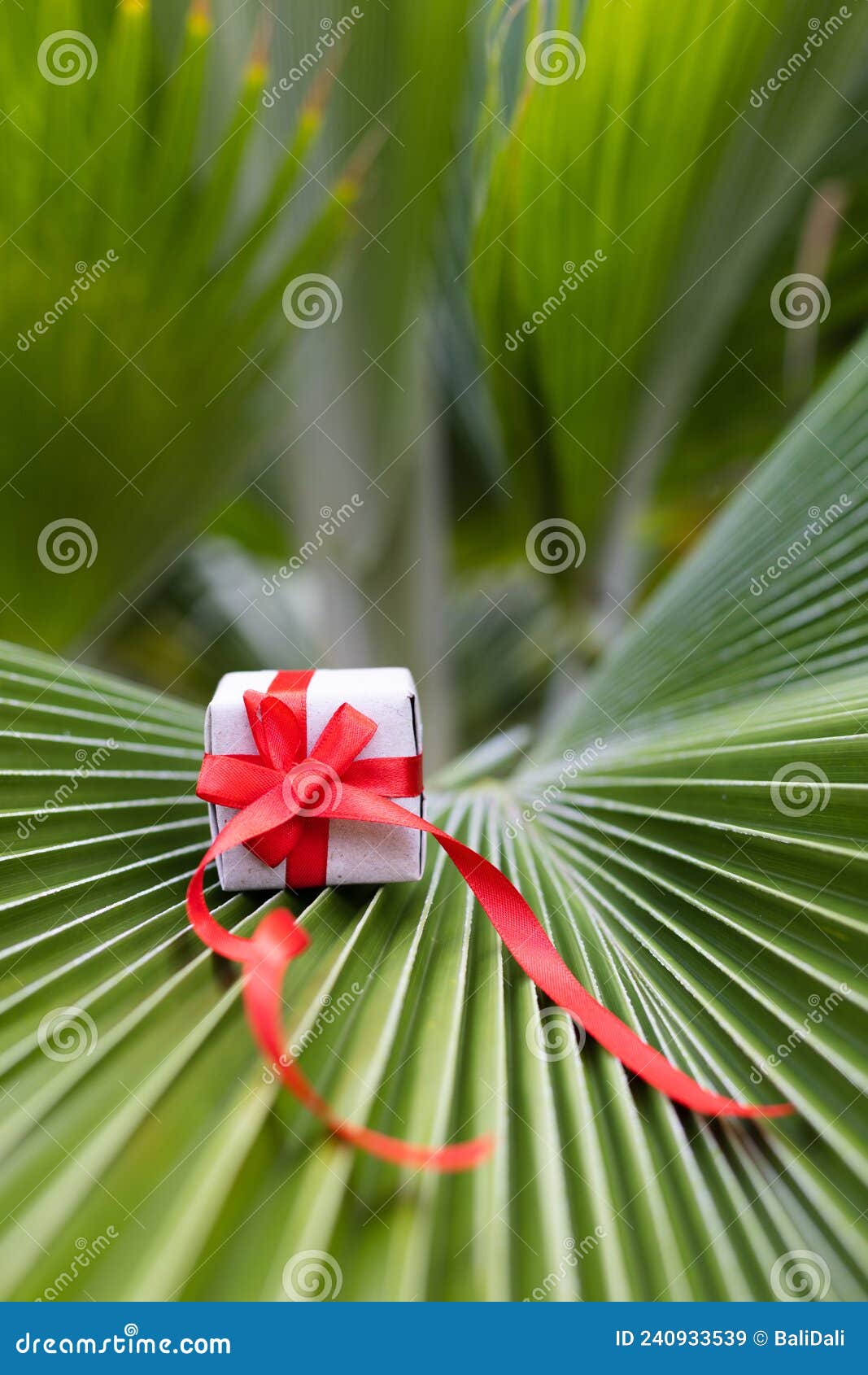 Small Gift Box Tied with Red Ribbon on a Palm Leaf. Stock Image - Image ...