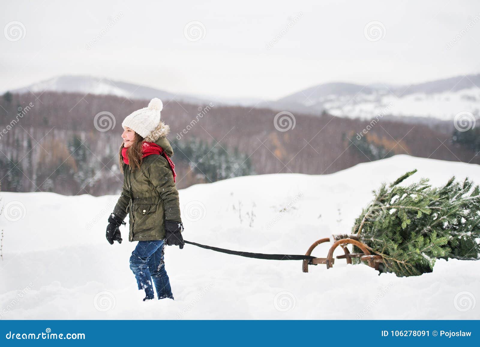 A Small Girl Pulling a Christmas Tree in Forest. Stock Image - Image of ...