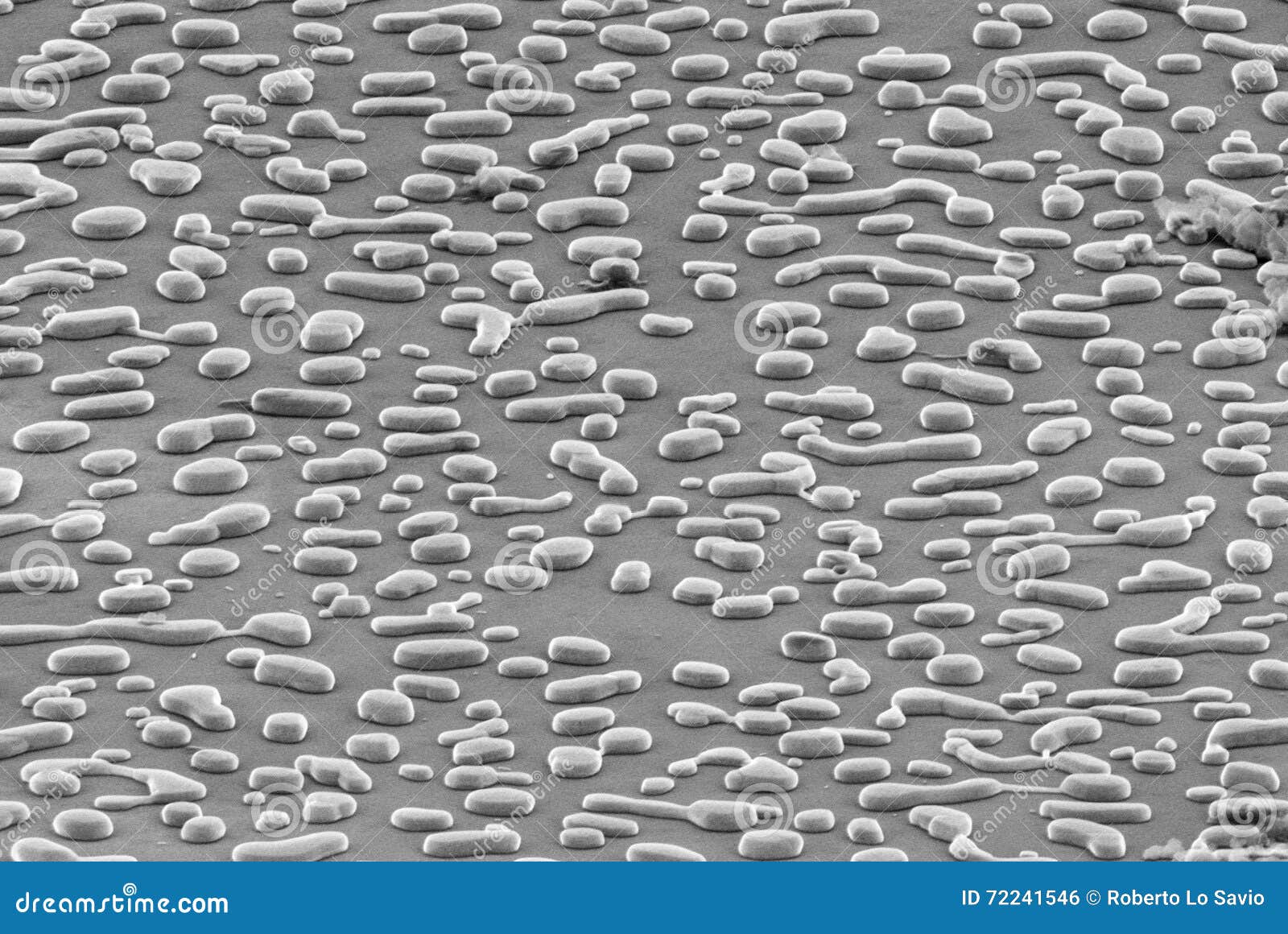 Small Gold Nanoparticles Seen with an Electron Microscope Stock Photo ...
