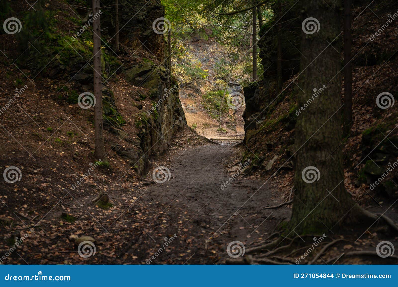 A Small Gorge in the Mountains, High Walls on the Sides Stock Photo ...