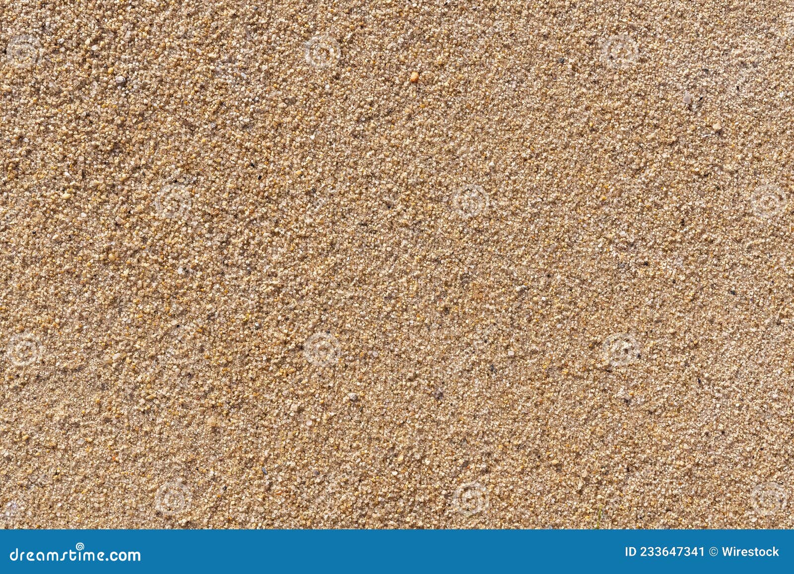 Small grains of sand stock image. Image of nature, detail - 233647341