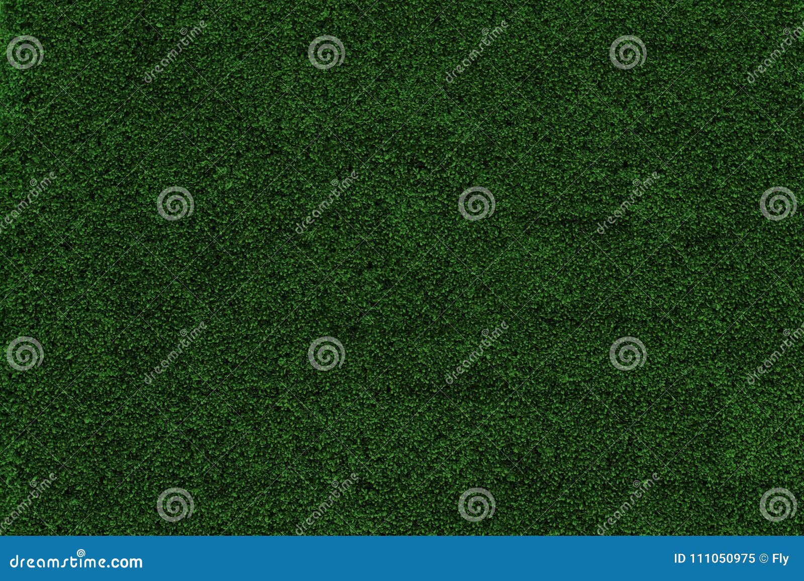 Small Grass Leaves Green Texture Stock Image - Image of natural, grass ...