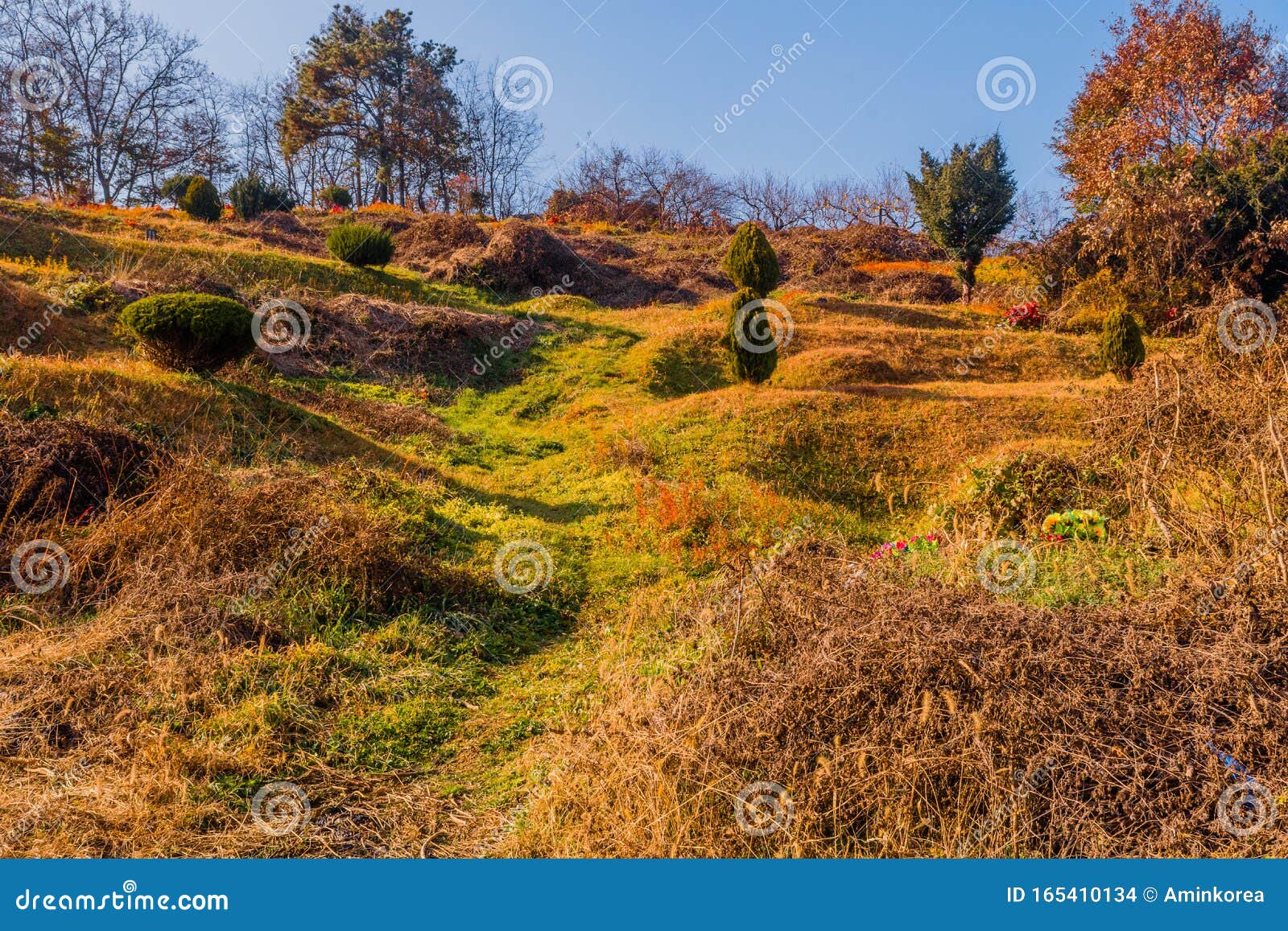 Small Graveyard in Beautiful Fall Colors Stock Photo - Image of orchard ...