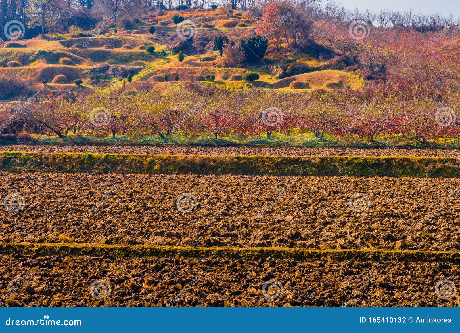 Small Graveyard in Beautiful Fall Colors Stock Photo - Image of ...