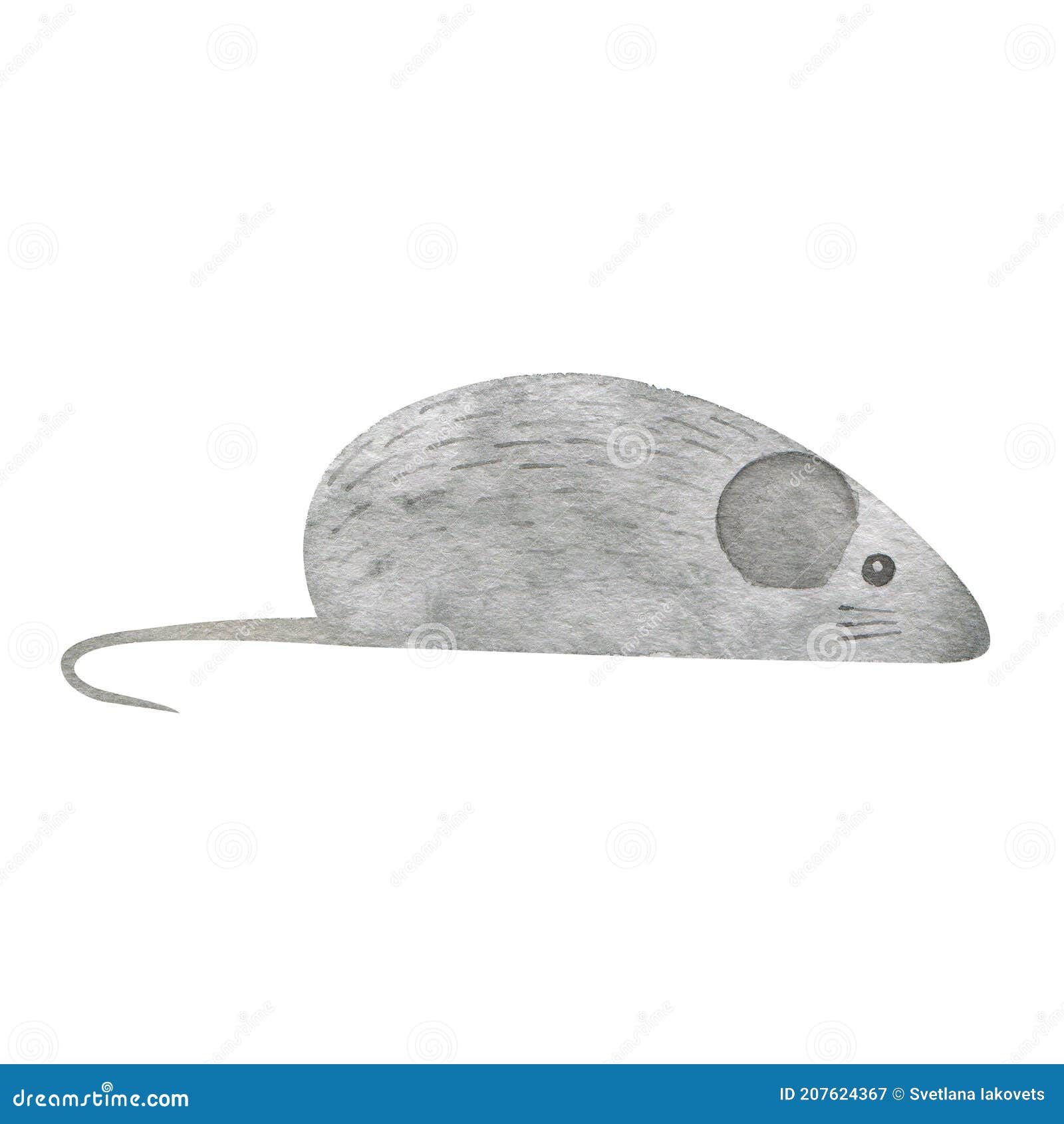 Small Gray Mouse with a Long Tail. Stock Image - Image of ears ...