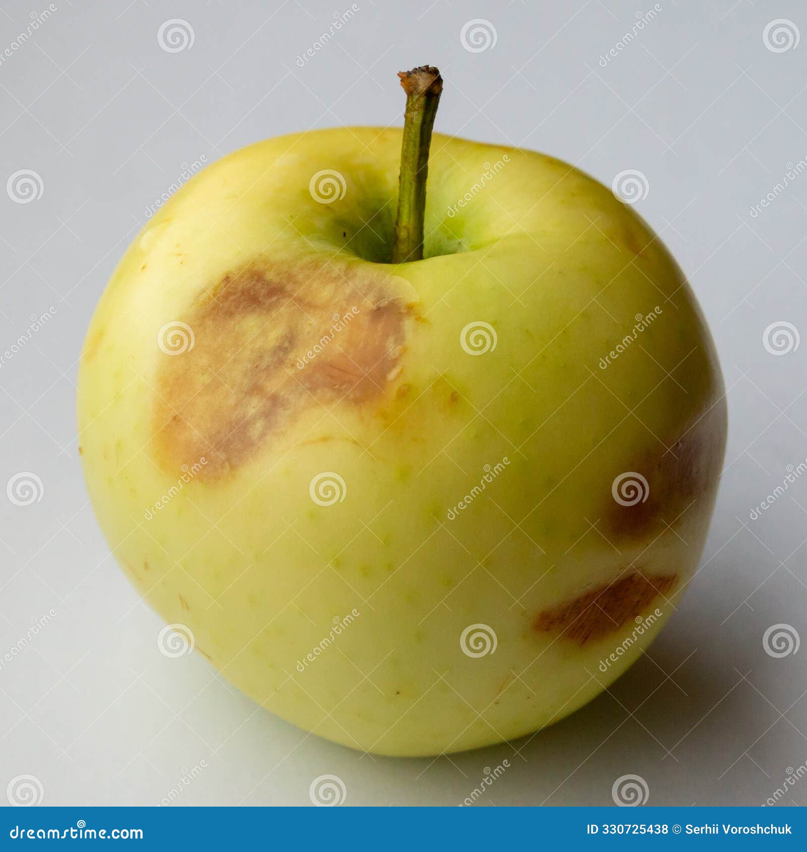 A Small Green Apple with Damage Stock Photo - Image of ripe, healthy ...