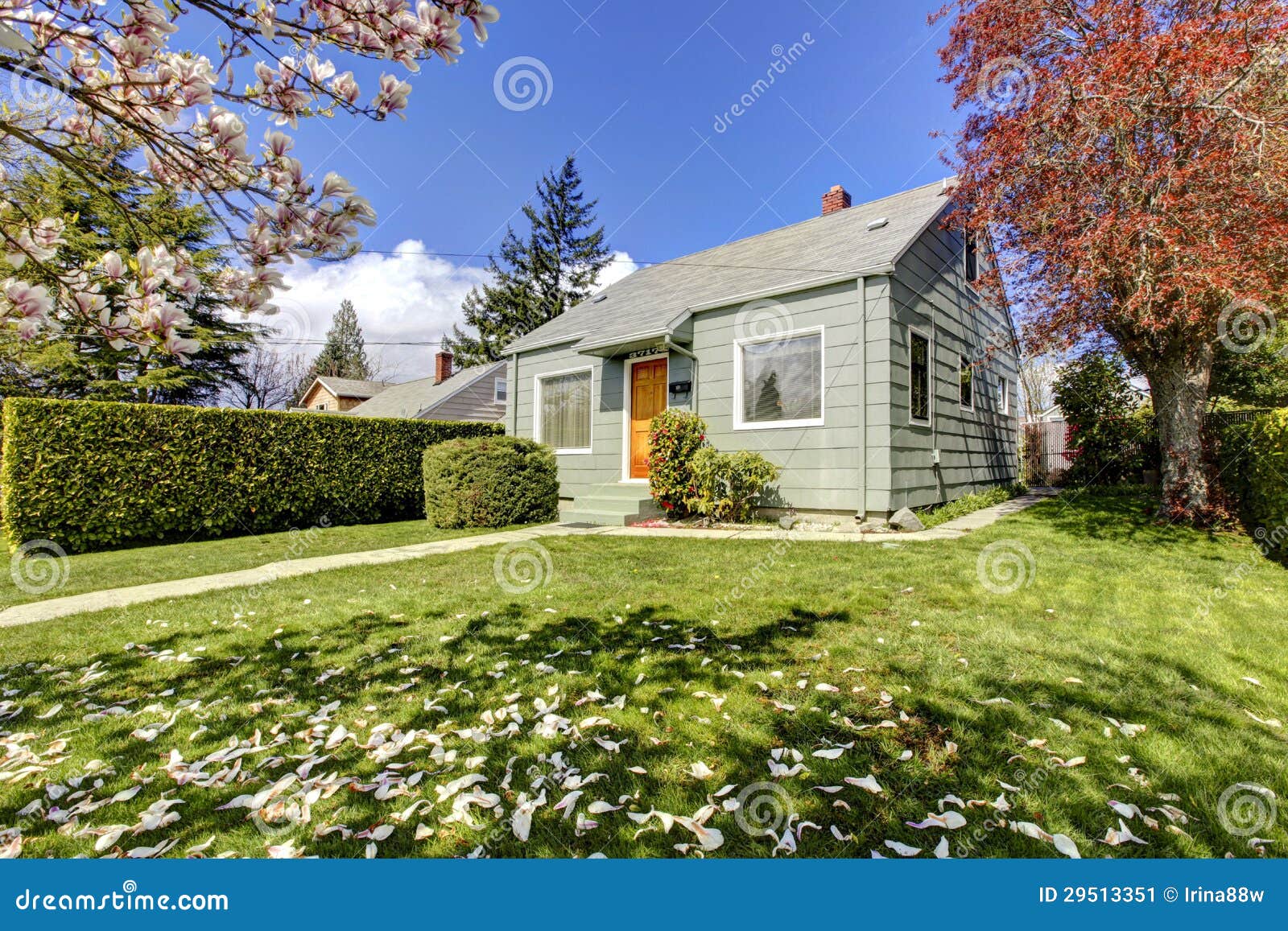 Small Green House Exterior with Spring Blooming Trees. Stock Image ...