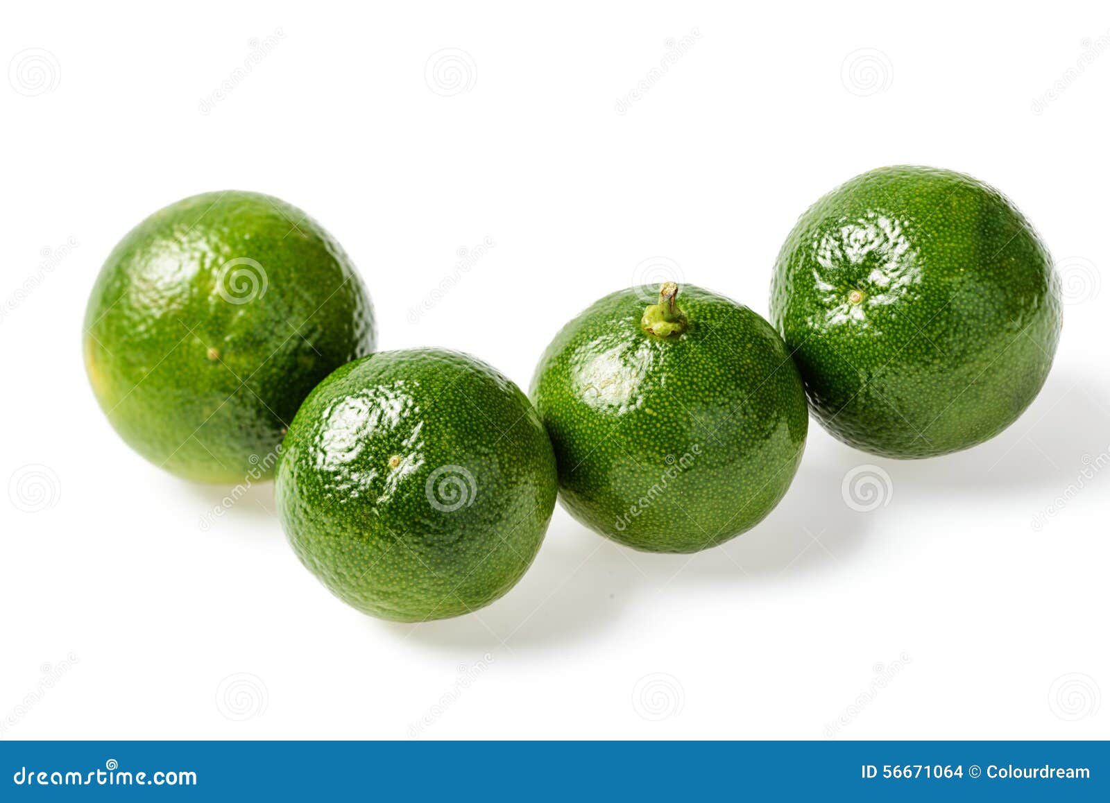 Small green lime stock photo. Image of macro, group, acid - 56671064