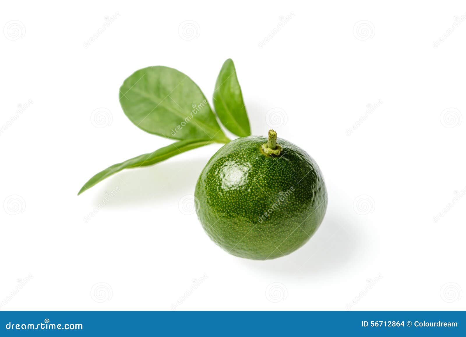 Small green limes stock photo. Image of macro, background - 56712864
