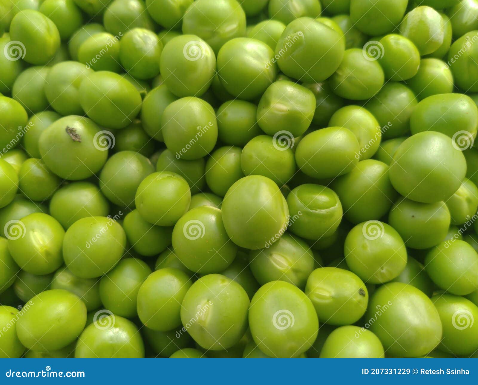Small Green Peas stock image. Image of green, berry - 207331229