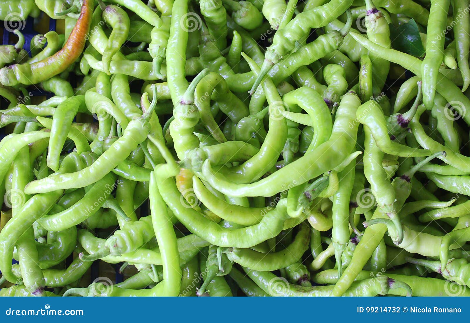 Small Green Peppers Stock Photos - Download 2,591 Images