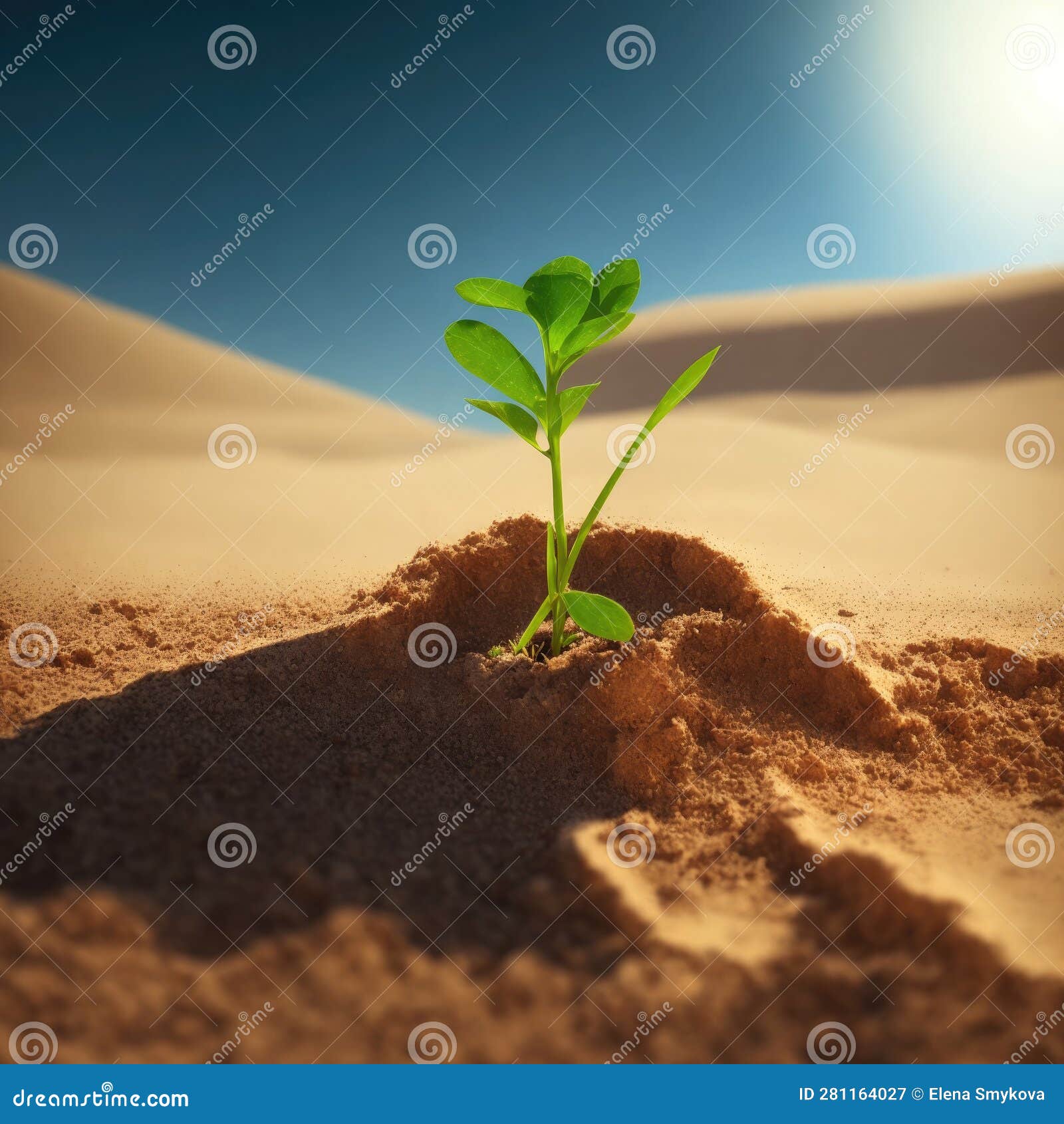 A Small Green Sprout Makes Its Way through the Sand in the Desert. the ...