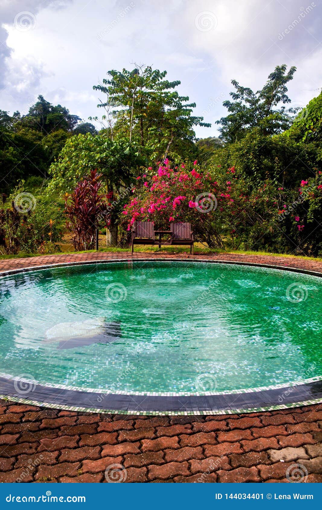 Small Green Swimming Pool in a Yard Stock Image - Image of patio, grass ...