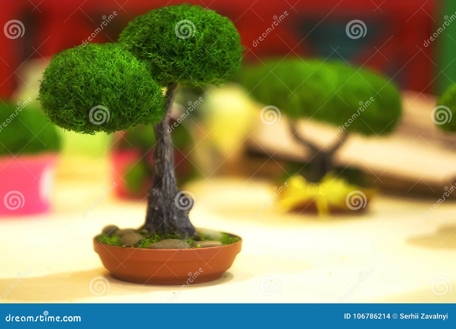 A Small Green Tree in a Pot. Stock Photo - Image of green, gold: 106786214