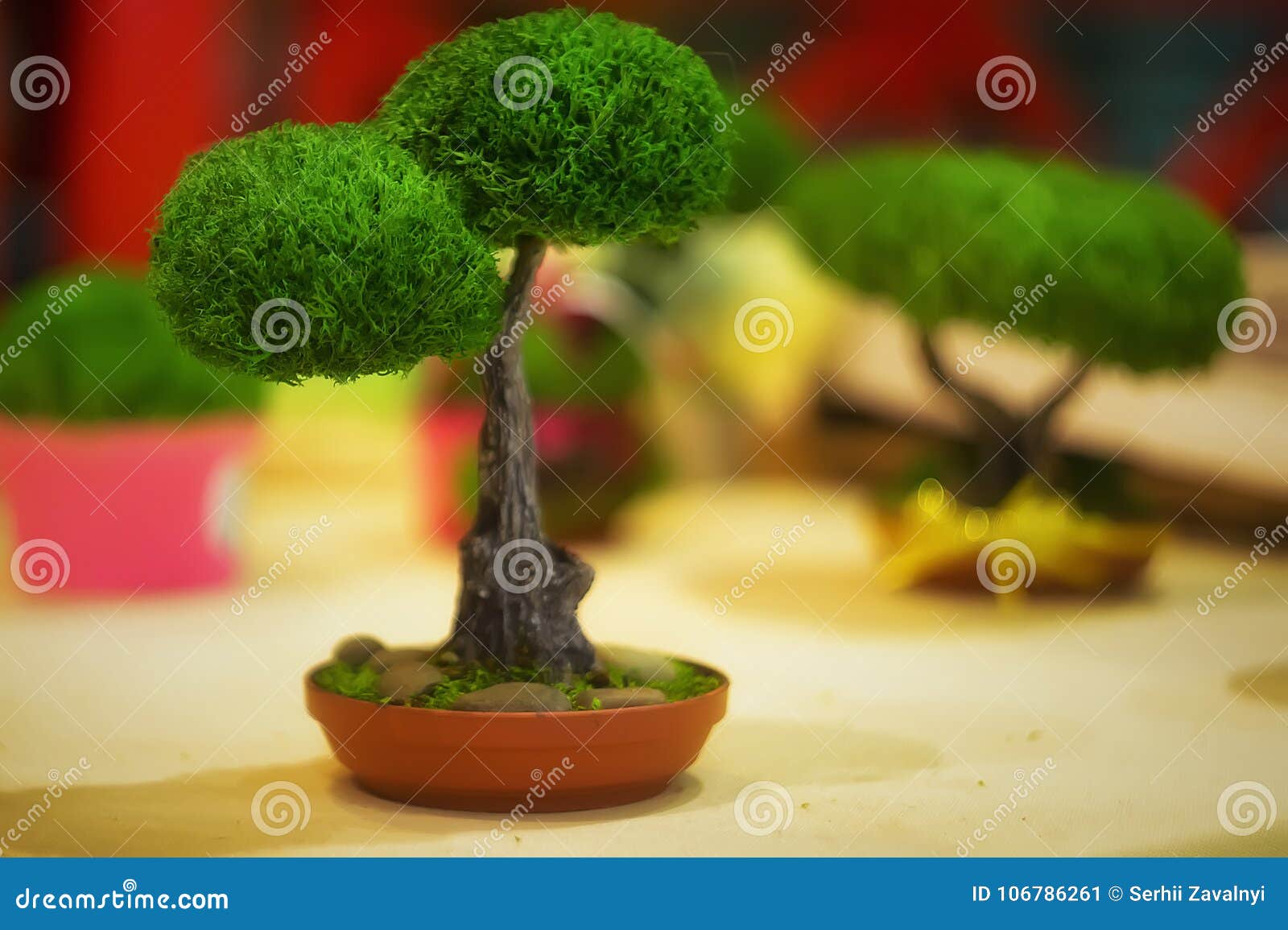 A Small Green Tree in a Pot. Stock Image - Image of gold, natural ...