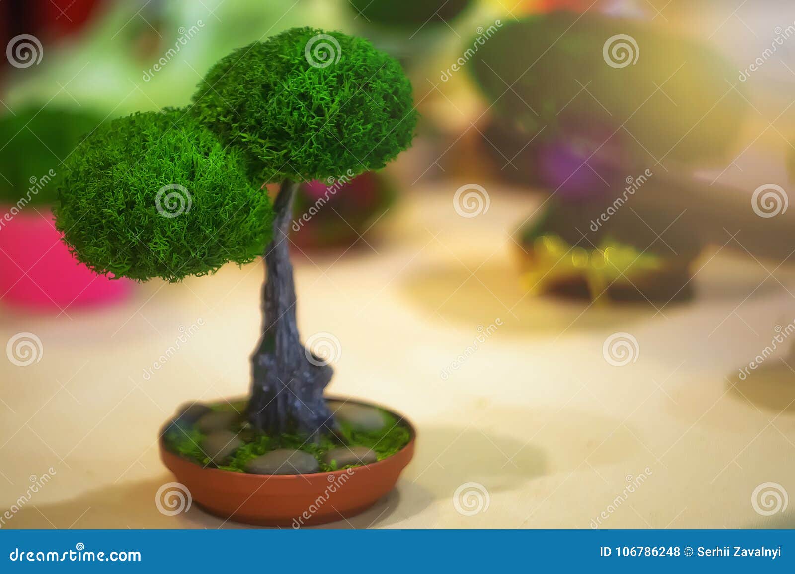 A Small Green Tree in a Pot. Stock Photo - Image of green, park: 106786248