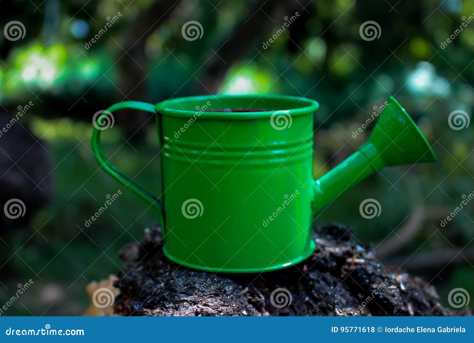 A small green watering can stock photo. Image of ground - 95771618