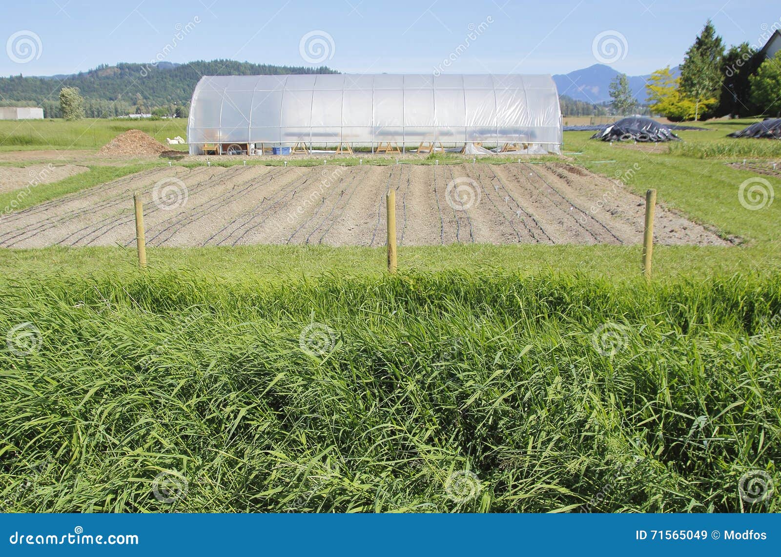 Small Greenhouse for Hobby Farm Stock Image - Image of gardening, full ...
