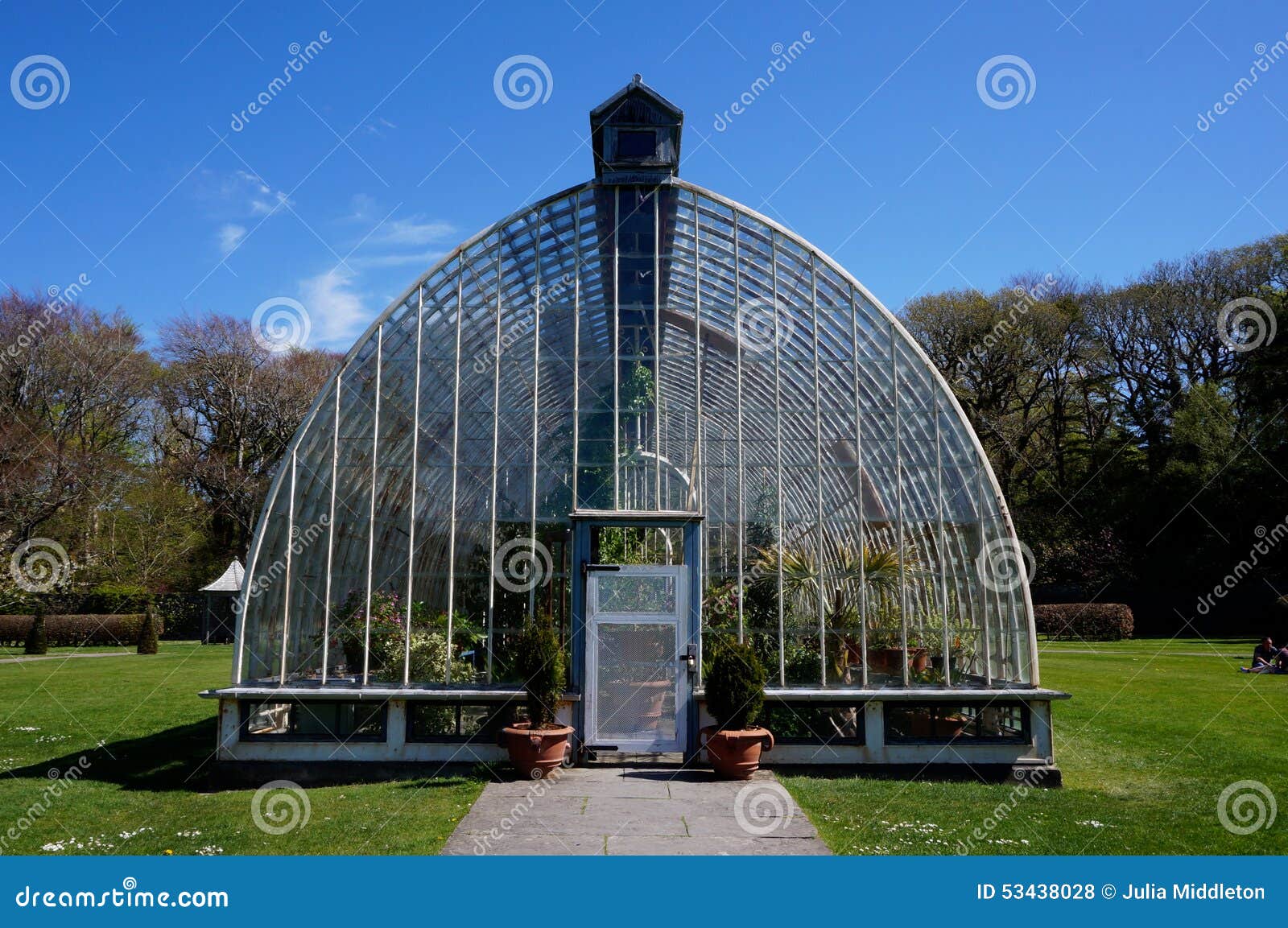 Big greenhouse stock photo. Image of plant, glass, garden - 53438028
