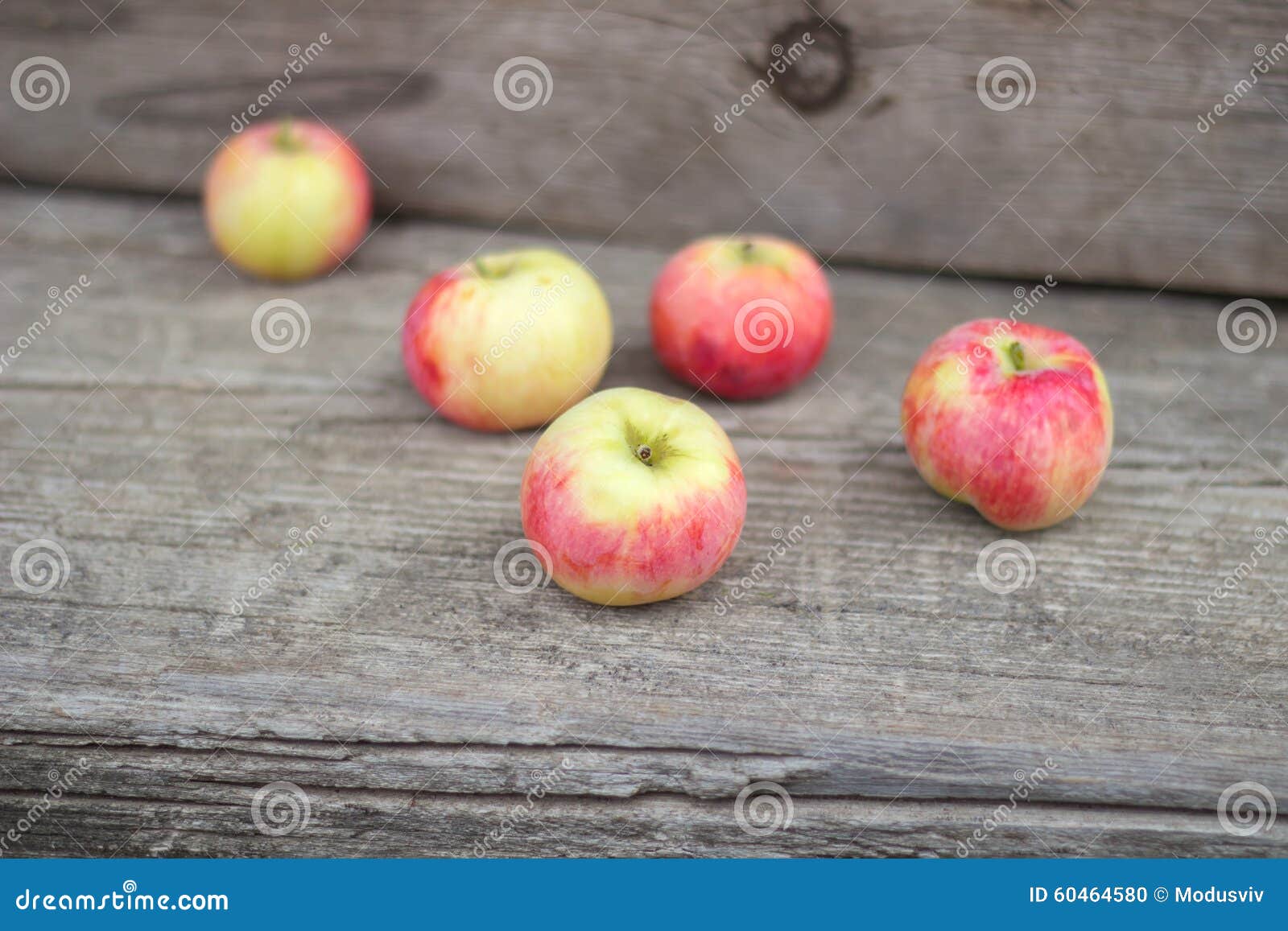 Small Group of Fresh Natural Apples Stock Photo - Image of village ...