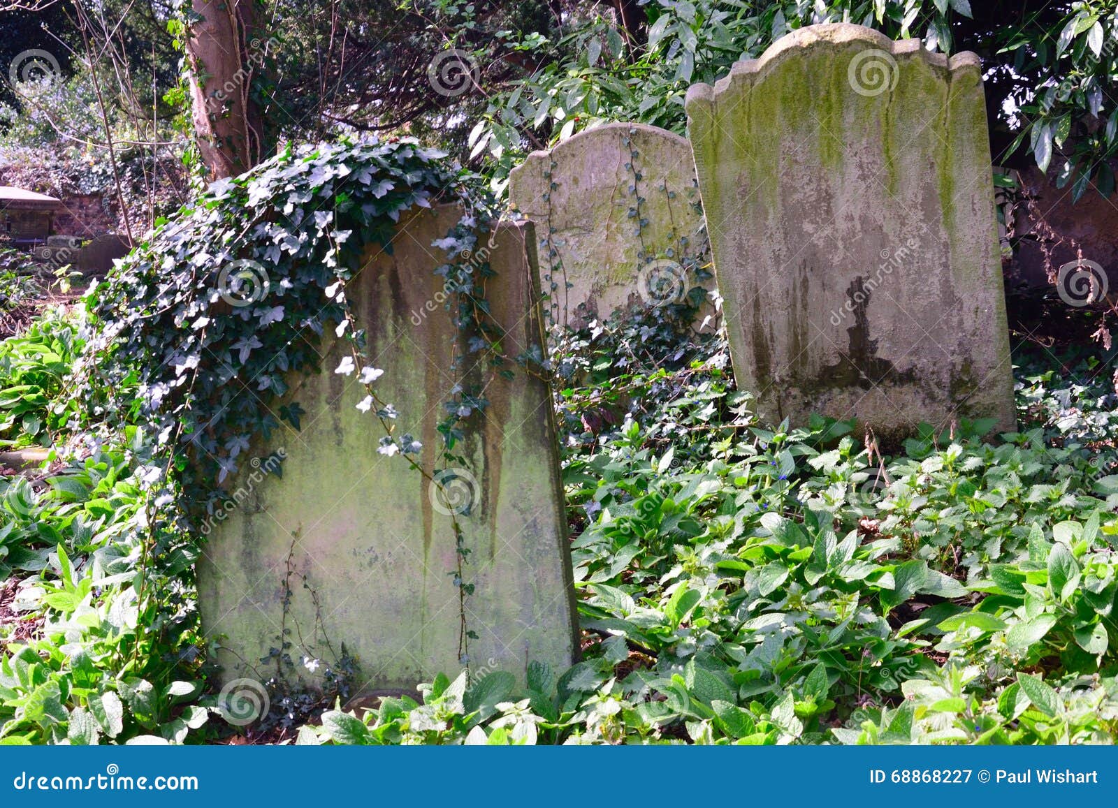 Small Group of Gravestones in Graveyard Stock Image - Image of stone ...