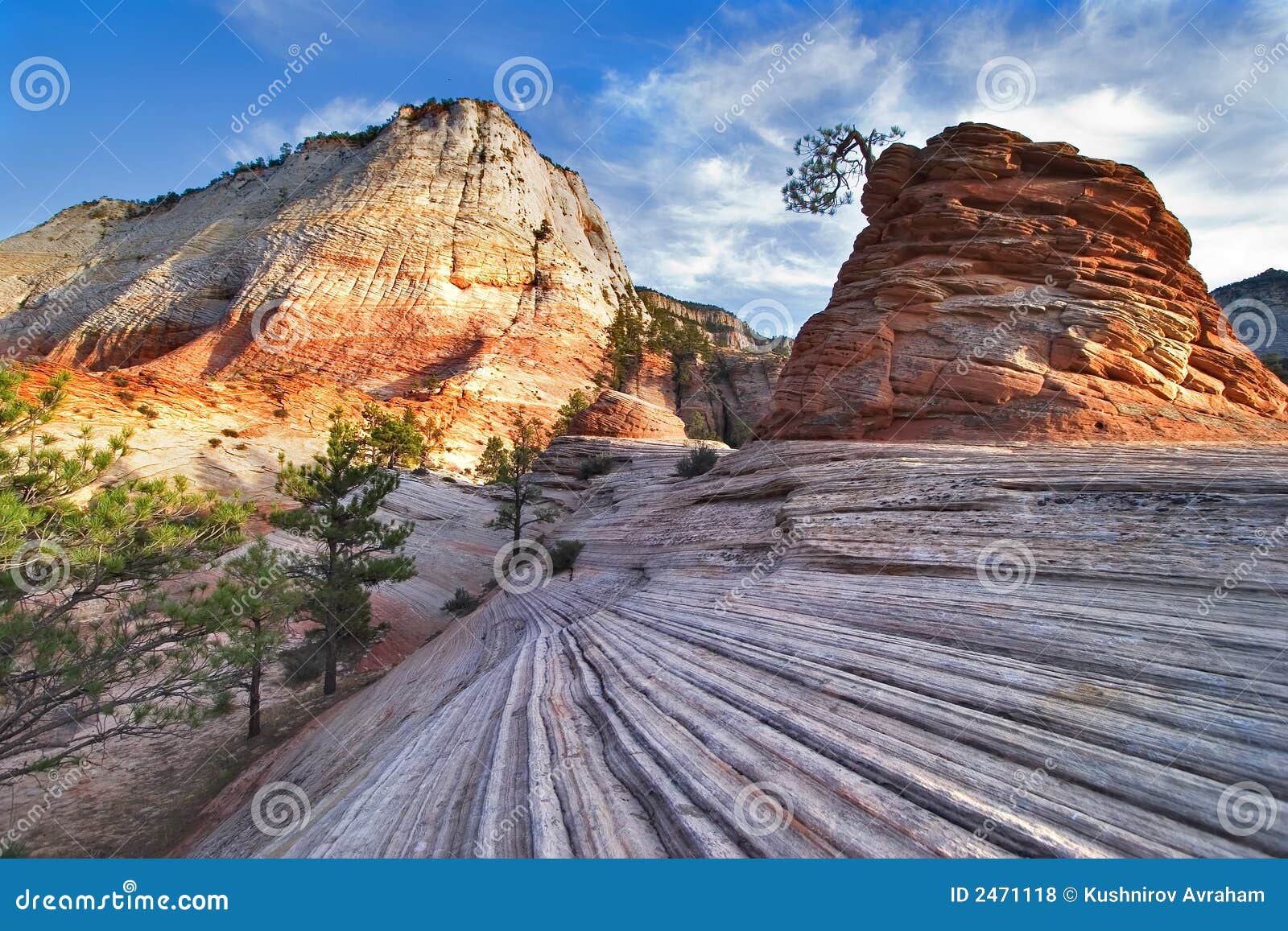 Small grove stock photo. Image of place, rocks, park, outdoors - 2471118