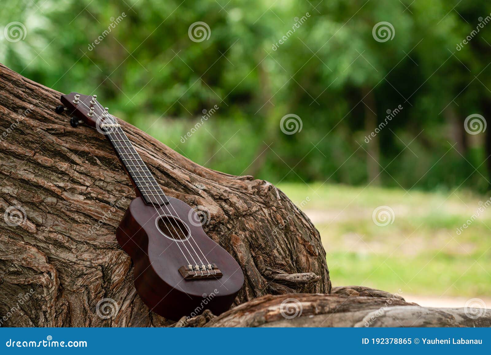 Small Guitar Ukulele in the Park on a Tree Stock Image - Image of ...
