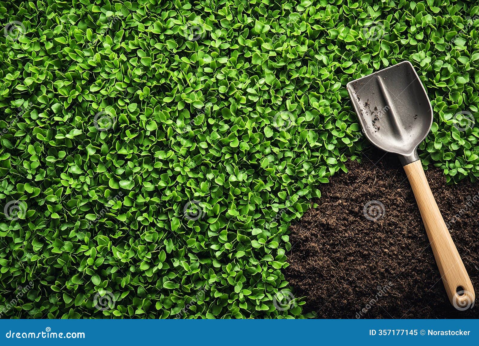 A Small Hand Spade Placed on a Fresh Patch of Soil with Space for Text ...