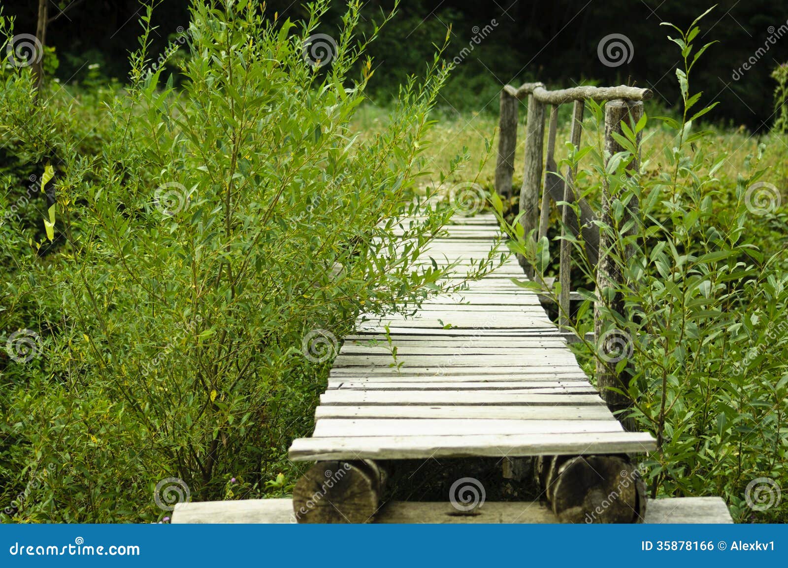 Small handmade bridge stock photo. Image of grass, natural - 35878166