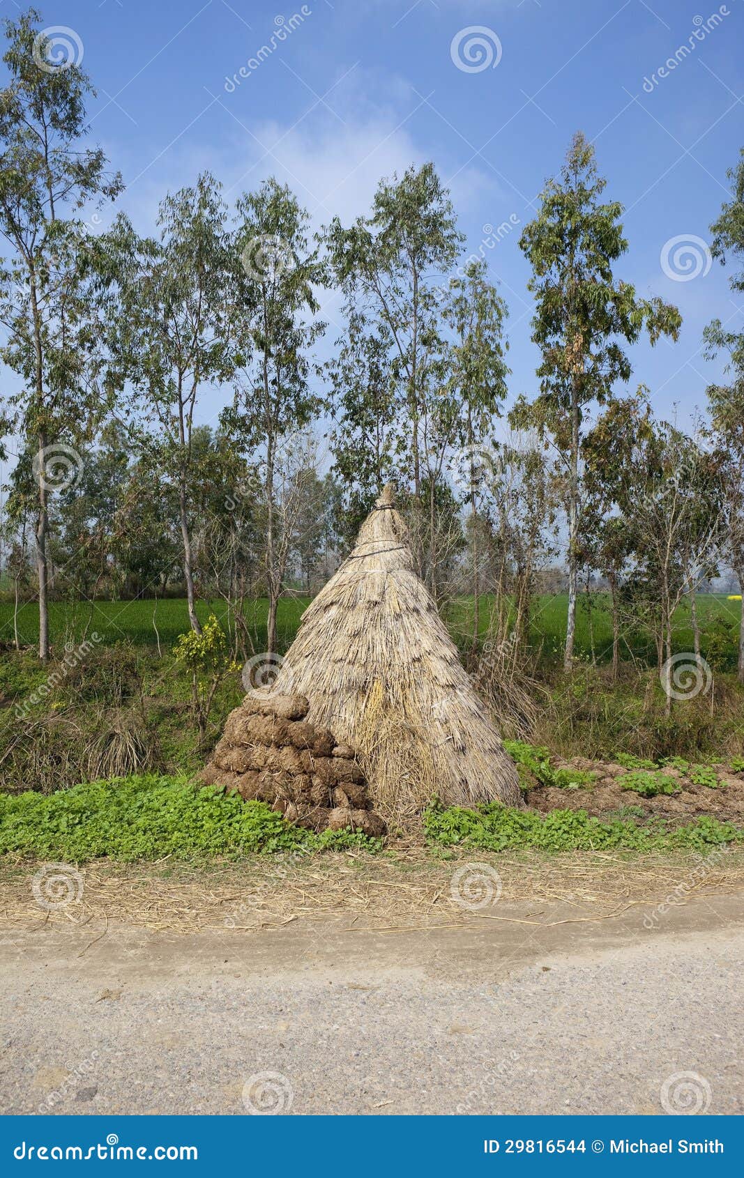 Hay stack in Punjab stock photo. Image of farming, farmland - 29816544