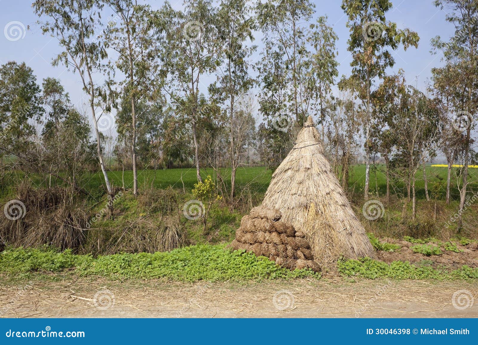 Traditional Punjab stock photo. Image of rural, trees - 30046398