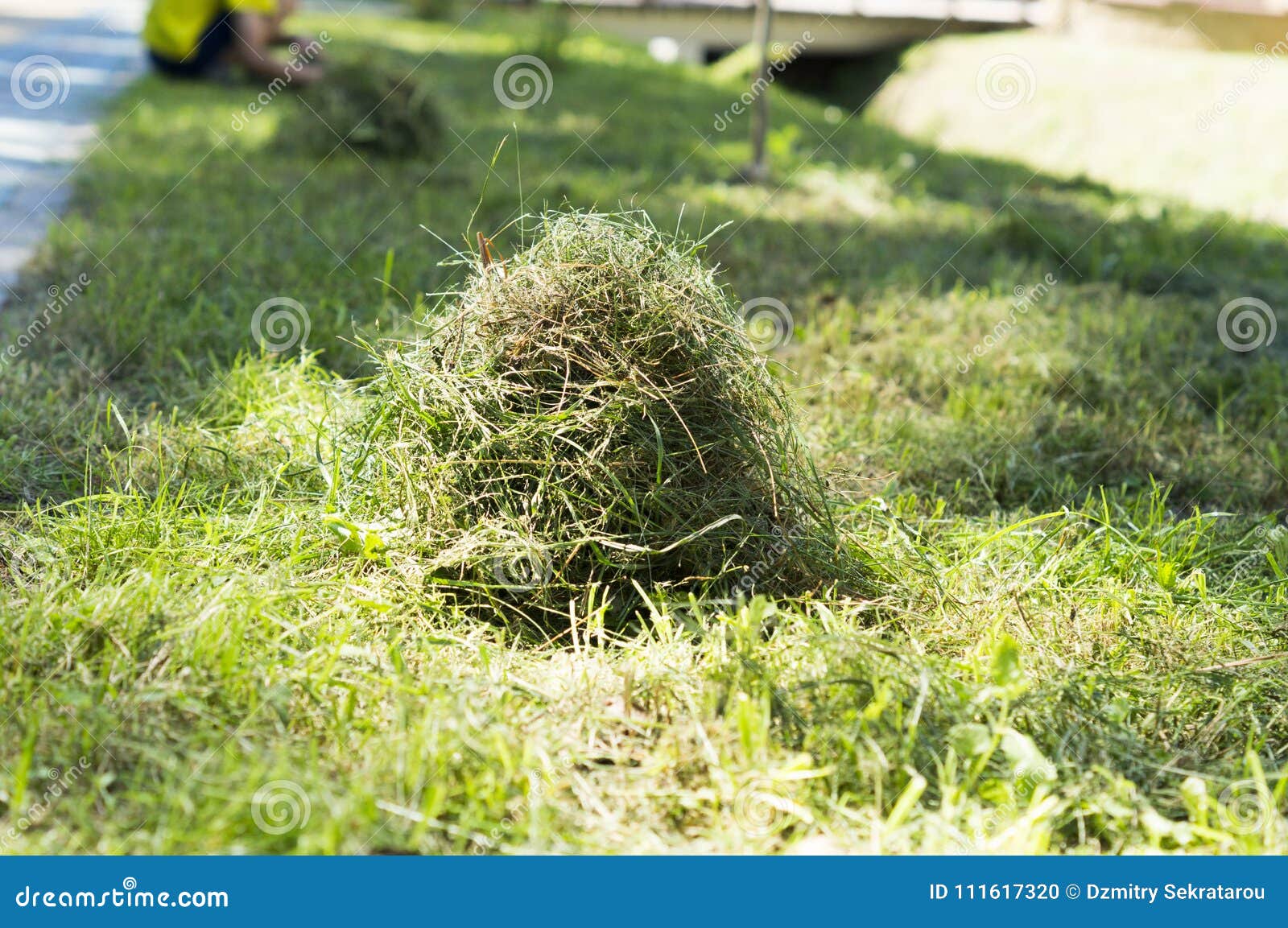 A small haystack closeup stock photo. Image of country - 111617320