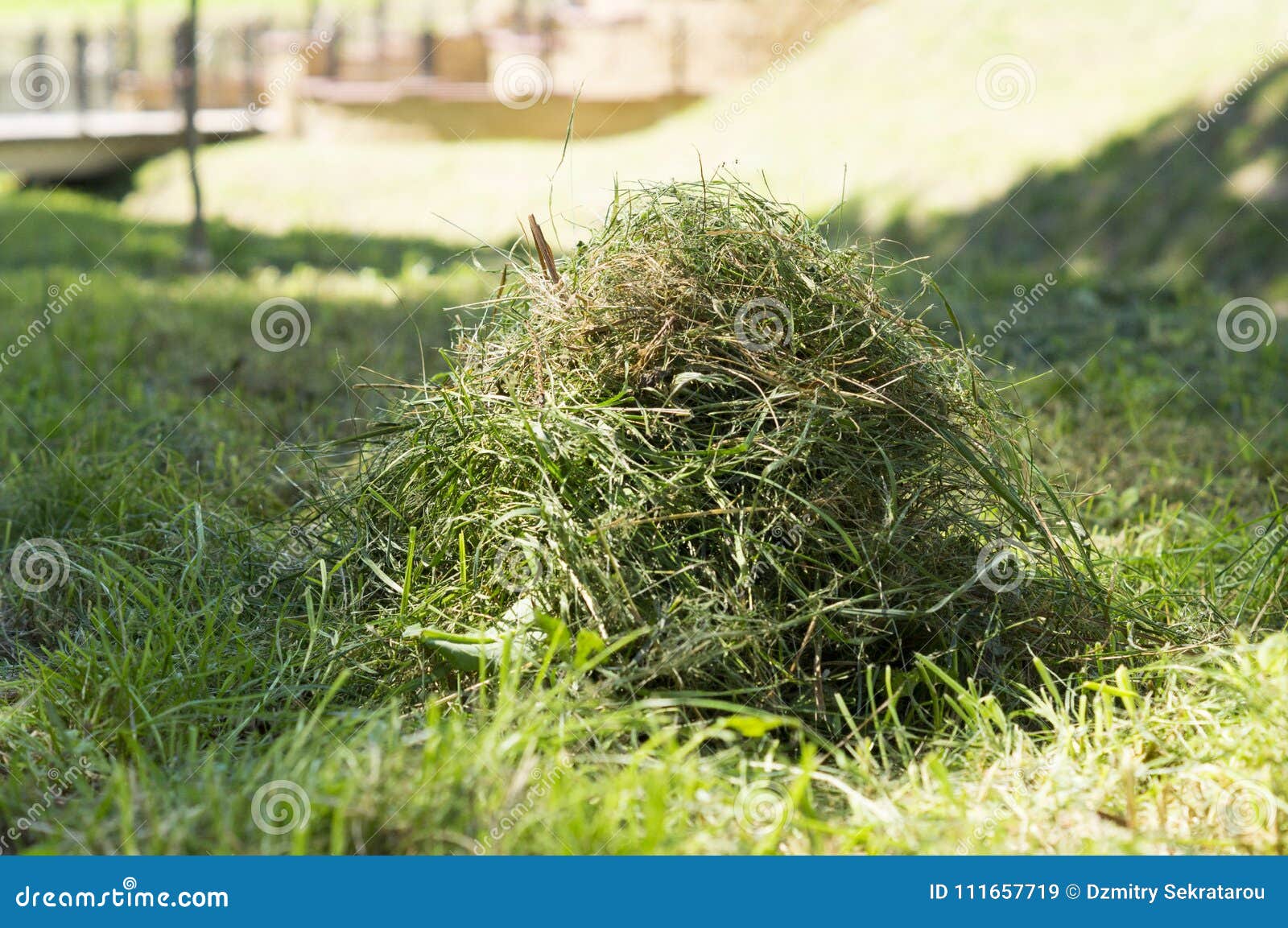 A small haystack closeup stock image. Image of pictured - 111657719