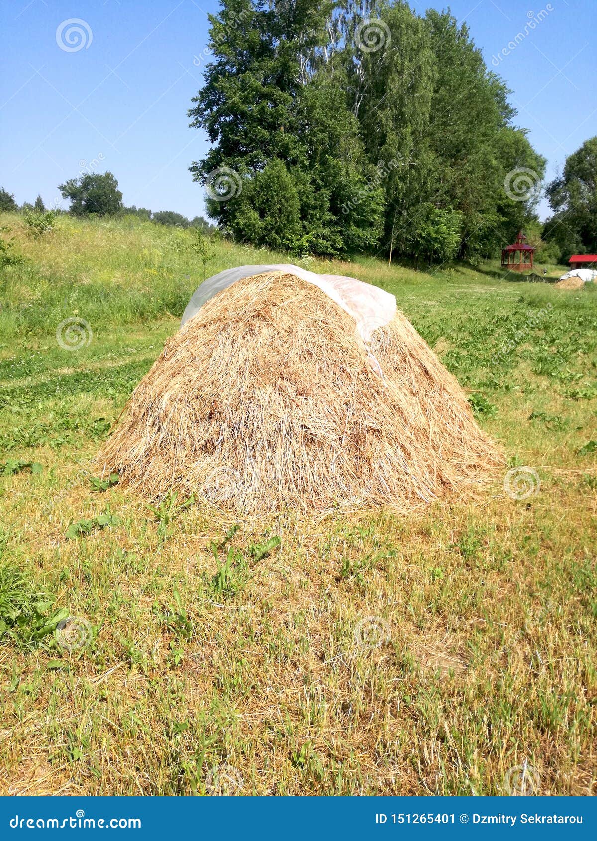 Small Haystack in the Floodplain Stock Image - Image of field, meadow ...
