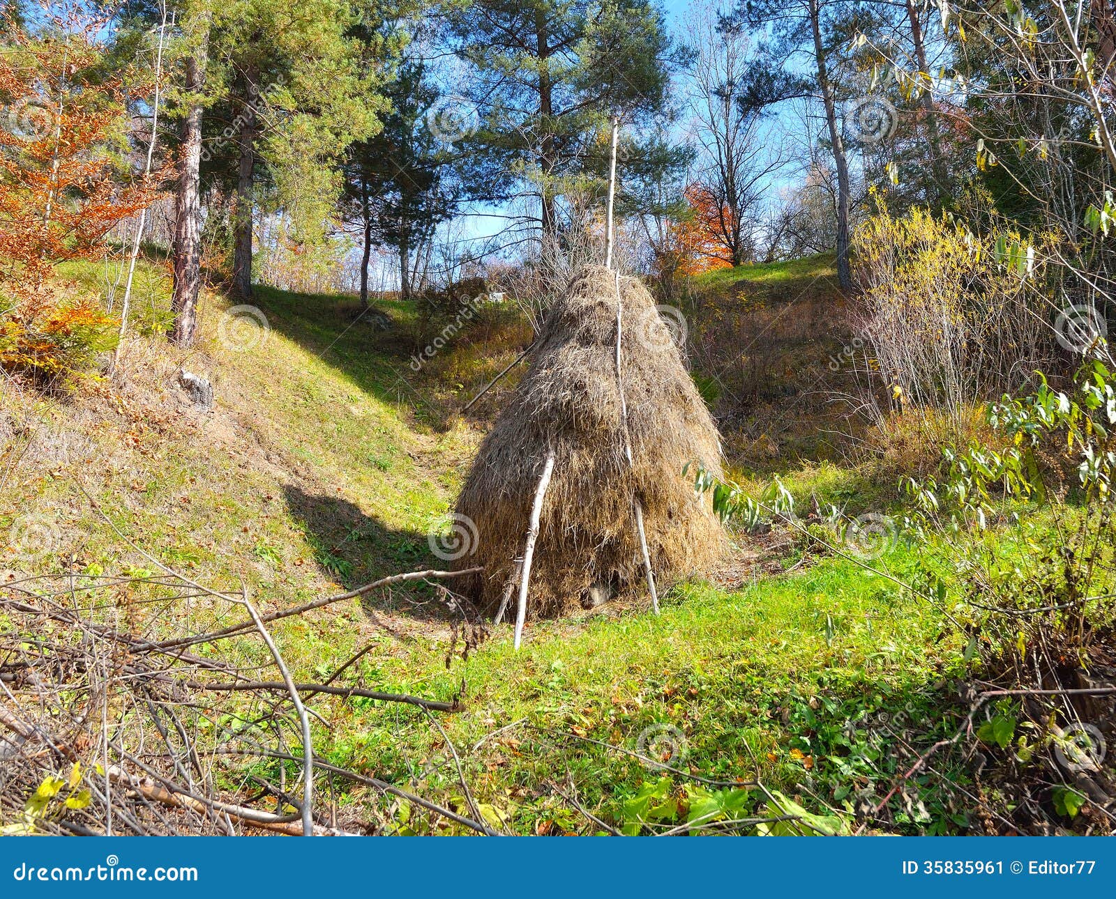Isolated small haystack stock image. Image of cereals - 35835961