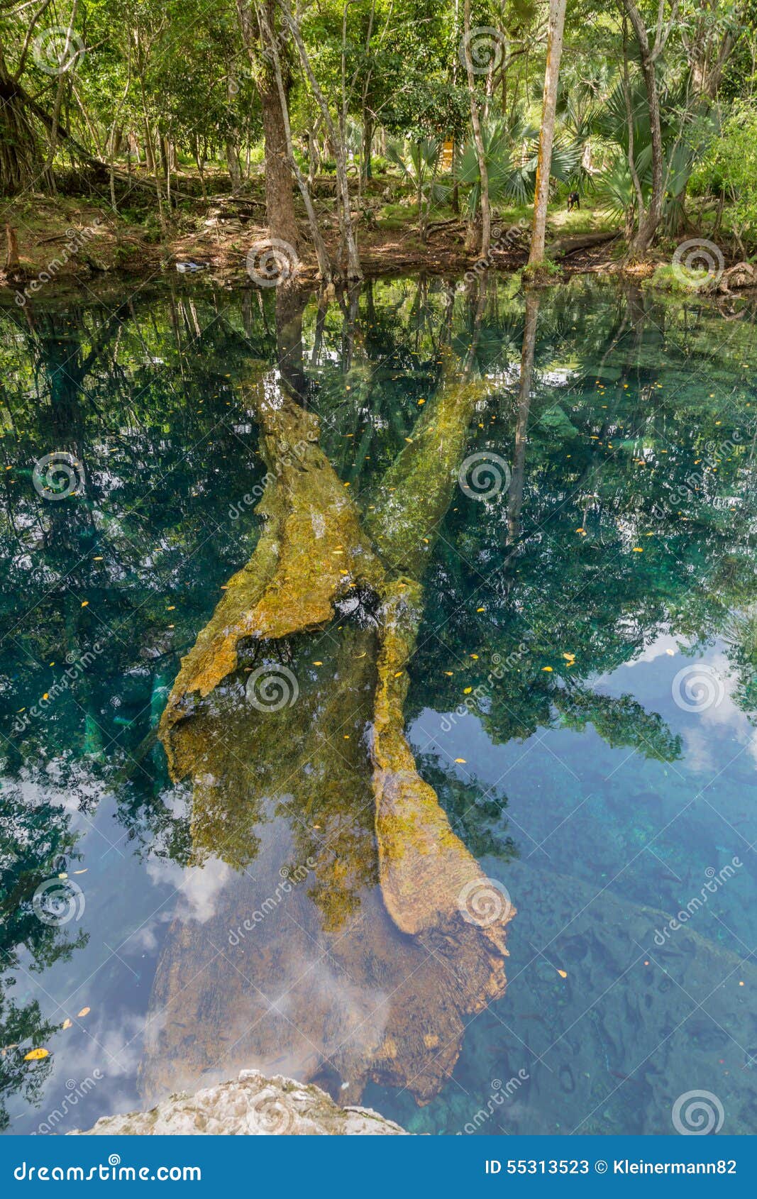 Small Hidden Lagoon in the Forest Stock Image - Image of paradis, hides ...