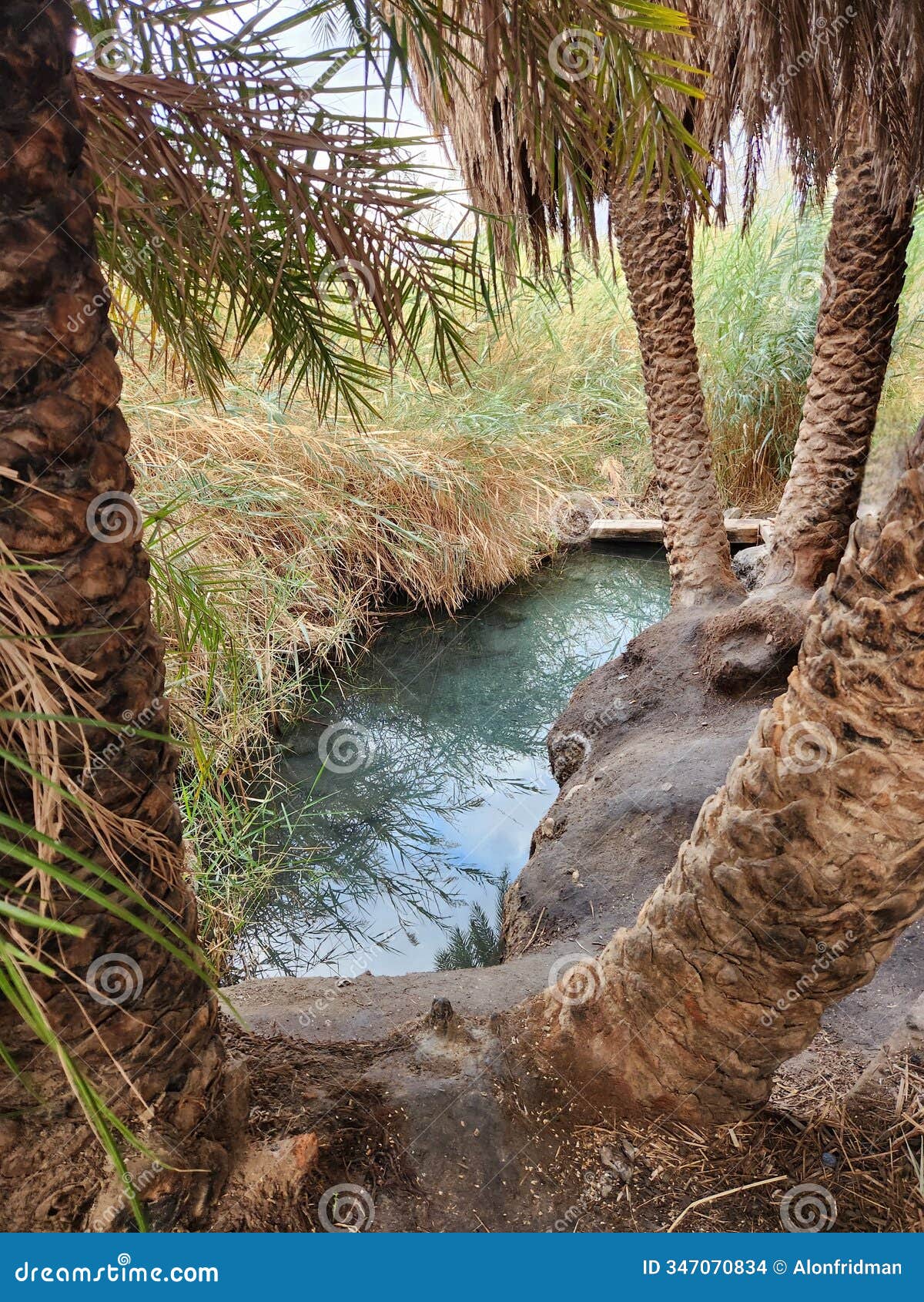 Small Hidden Natural Spring with Cristal Clear Water Stock Photo ...