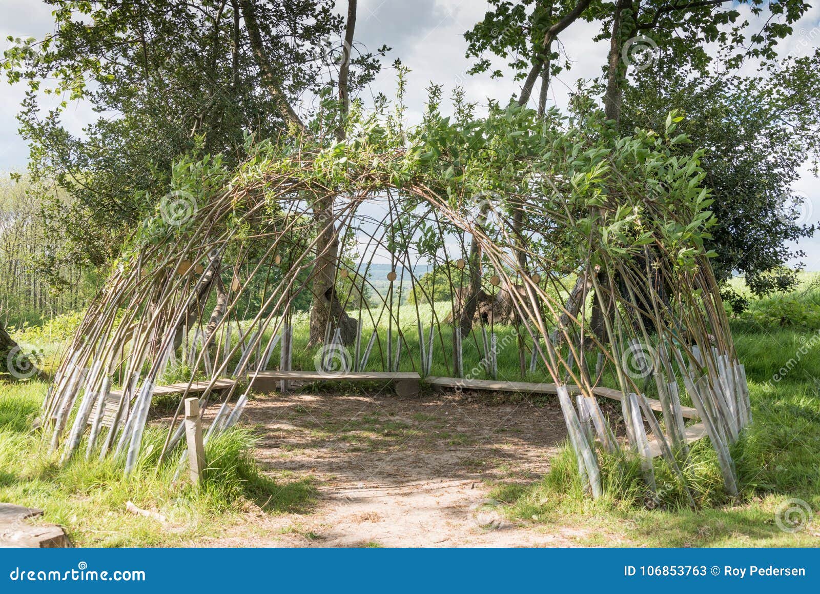 Small Willow Hide stock image. Image of natural, willow - 106853763