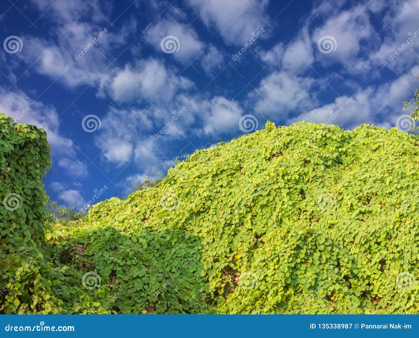 Small Hill and Blue Sky with Clouds. Stock Image - Image of mound ...