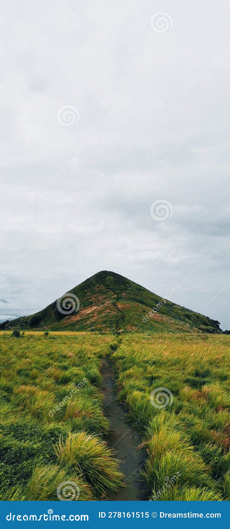 A Small Hill with Path in the Middle Stock Image - Image of middle ...