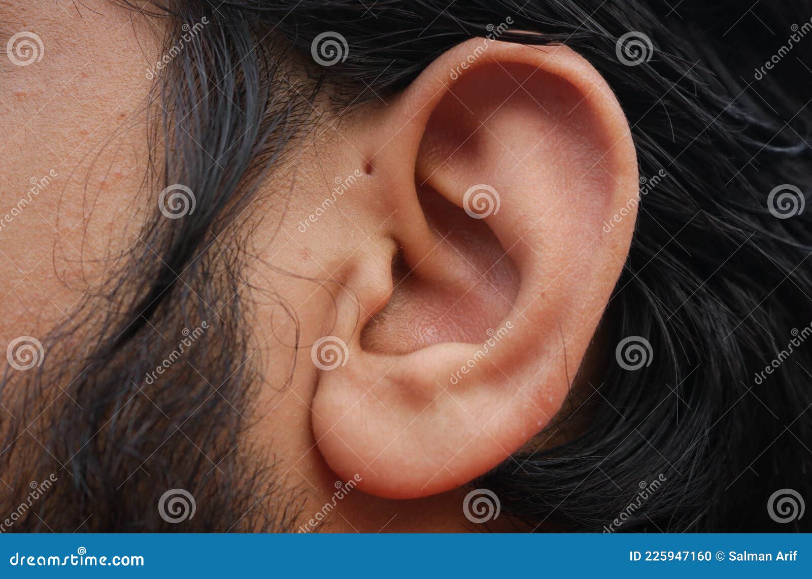 Small Hole in Front of the Upper Side of the Ear Which is Known As ...