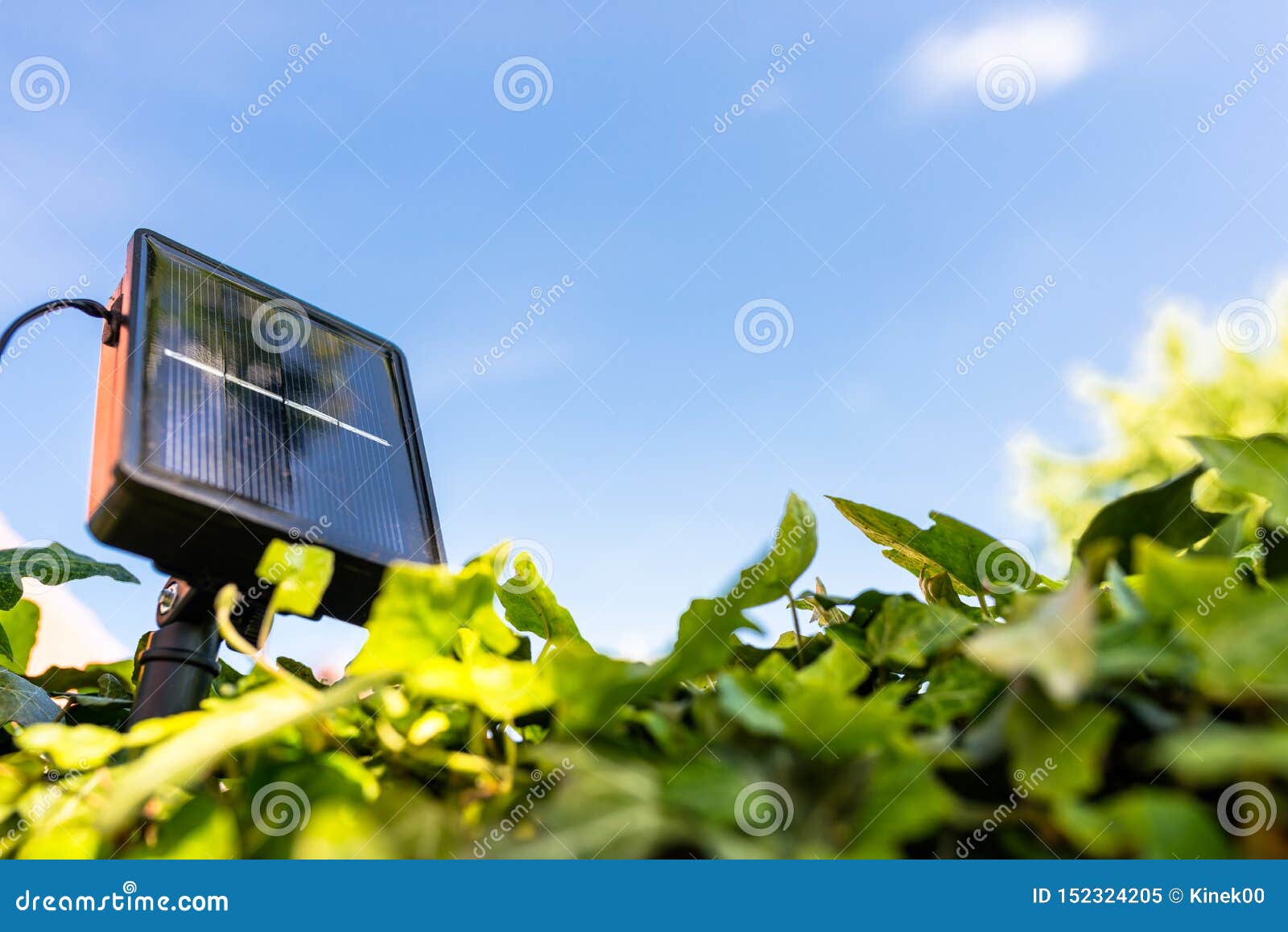 A Small, Home Solar Panel, Placed between the Plants Supporting the ...