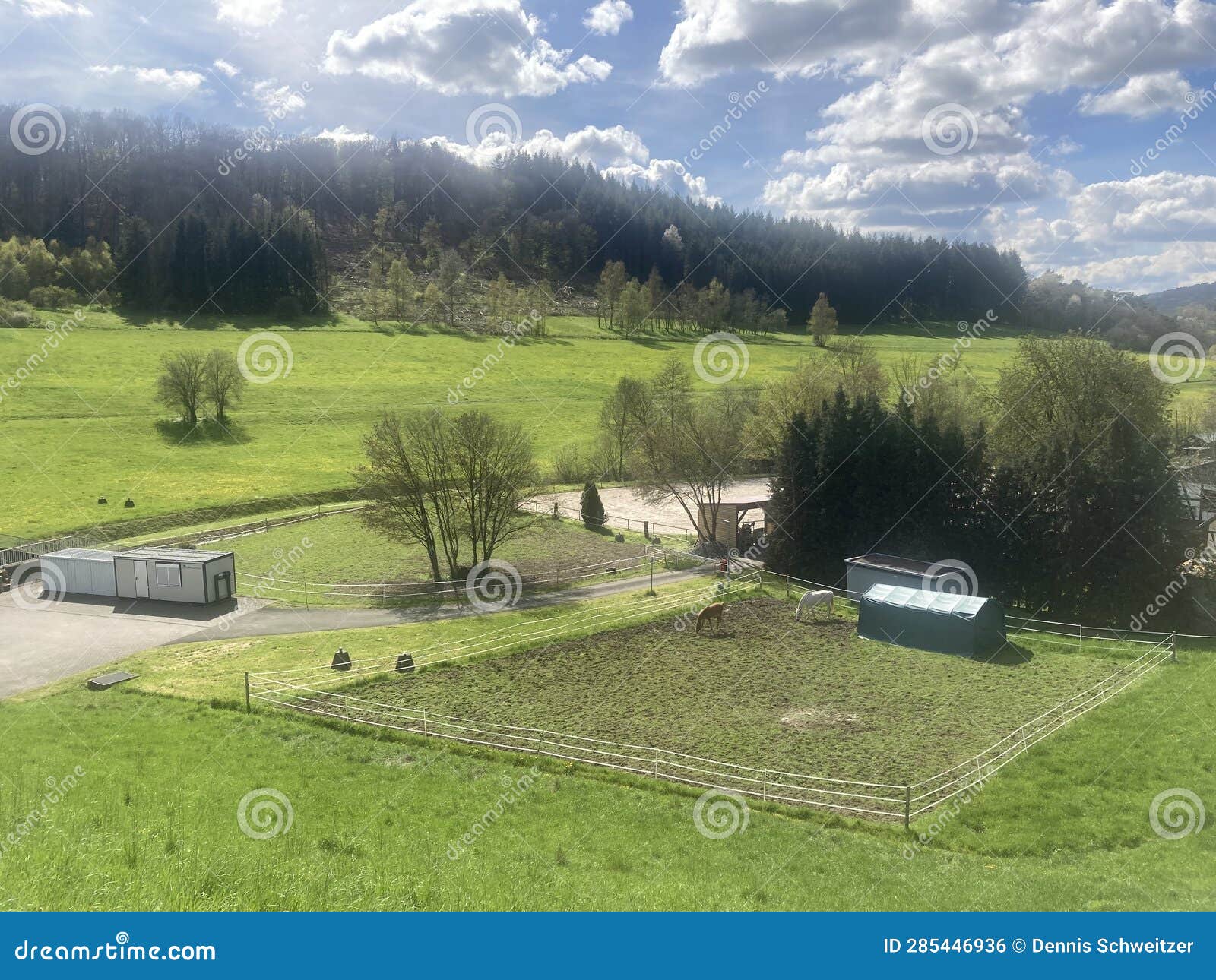 Small Horse Paddock Taken from Above Stock Photo - Image of mane, scene ...