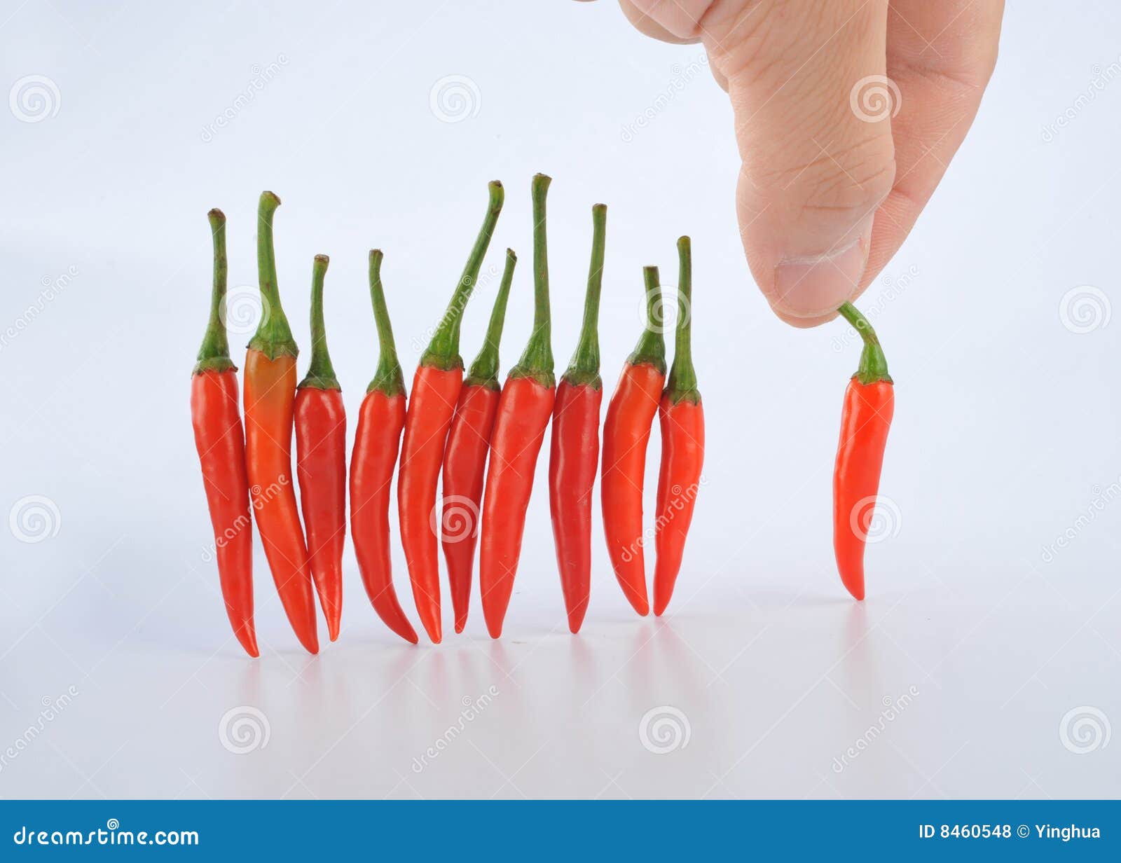 Small hot pepper stock photo. Image of green, dried, chilies - 8460548