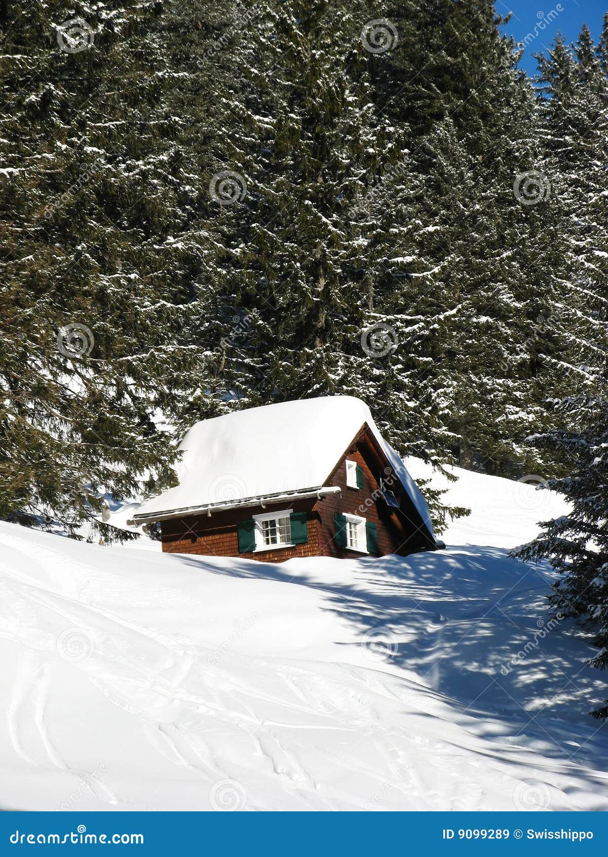 Small house in alps stock image. Image of resting, scenery - 9099289