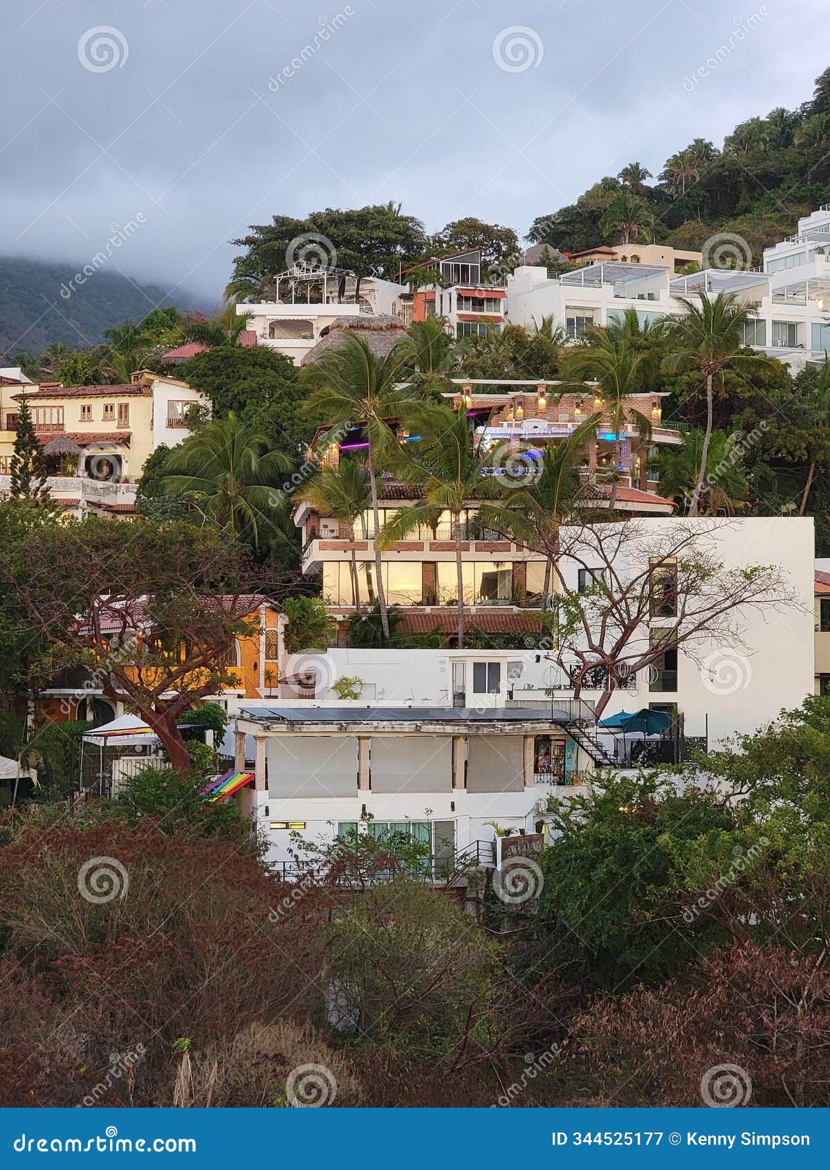 Living on the Edge of the Jungle. Stock Image - Image of mountain ...