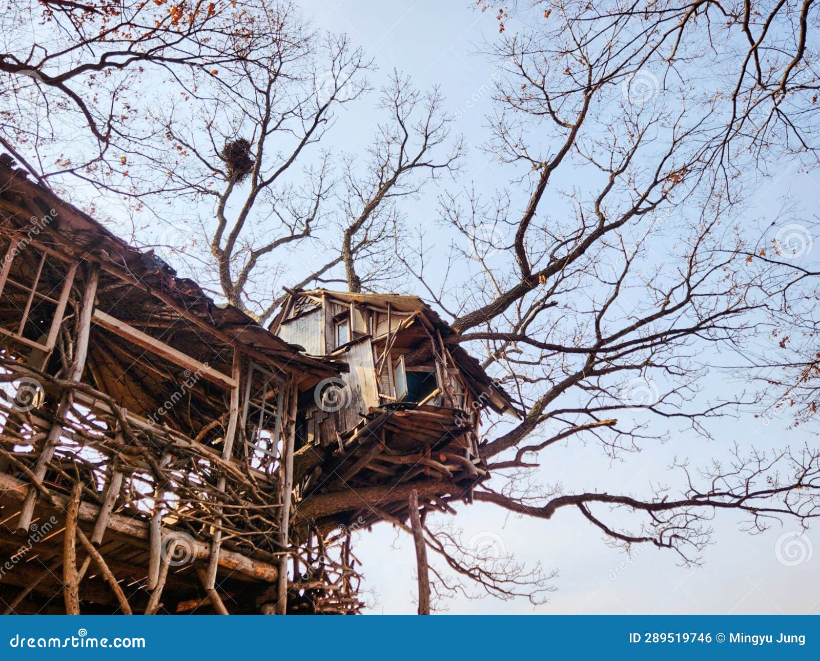 A Small House Built on a Tree Stock Photo - Image of transport, iron ...