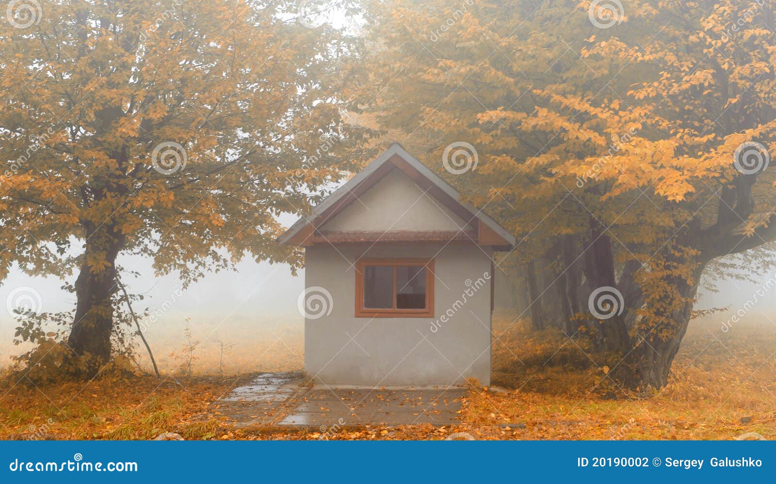 Small House in Foggy Forest Stock Photo - Image of morning, foliage ...