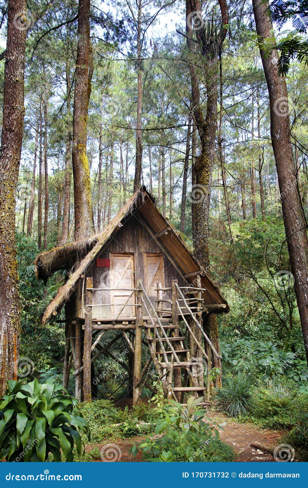 Small House in the Green Forest Stock Photo - Image of vacation ...